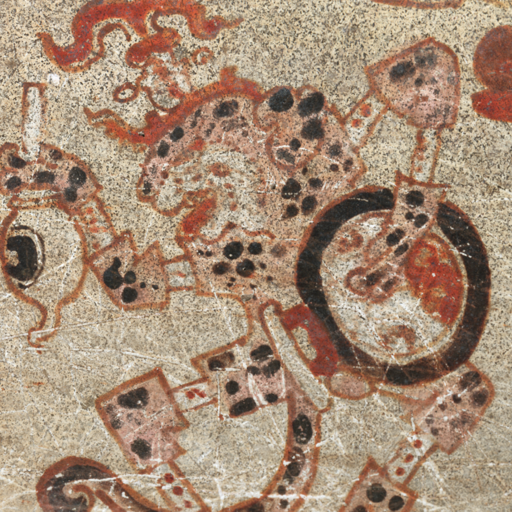 Conferencia presencial: ¿Qué es un enema ritual? - Museo Popol Vuh