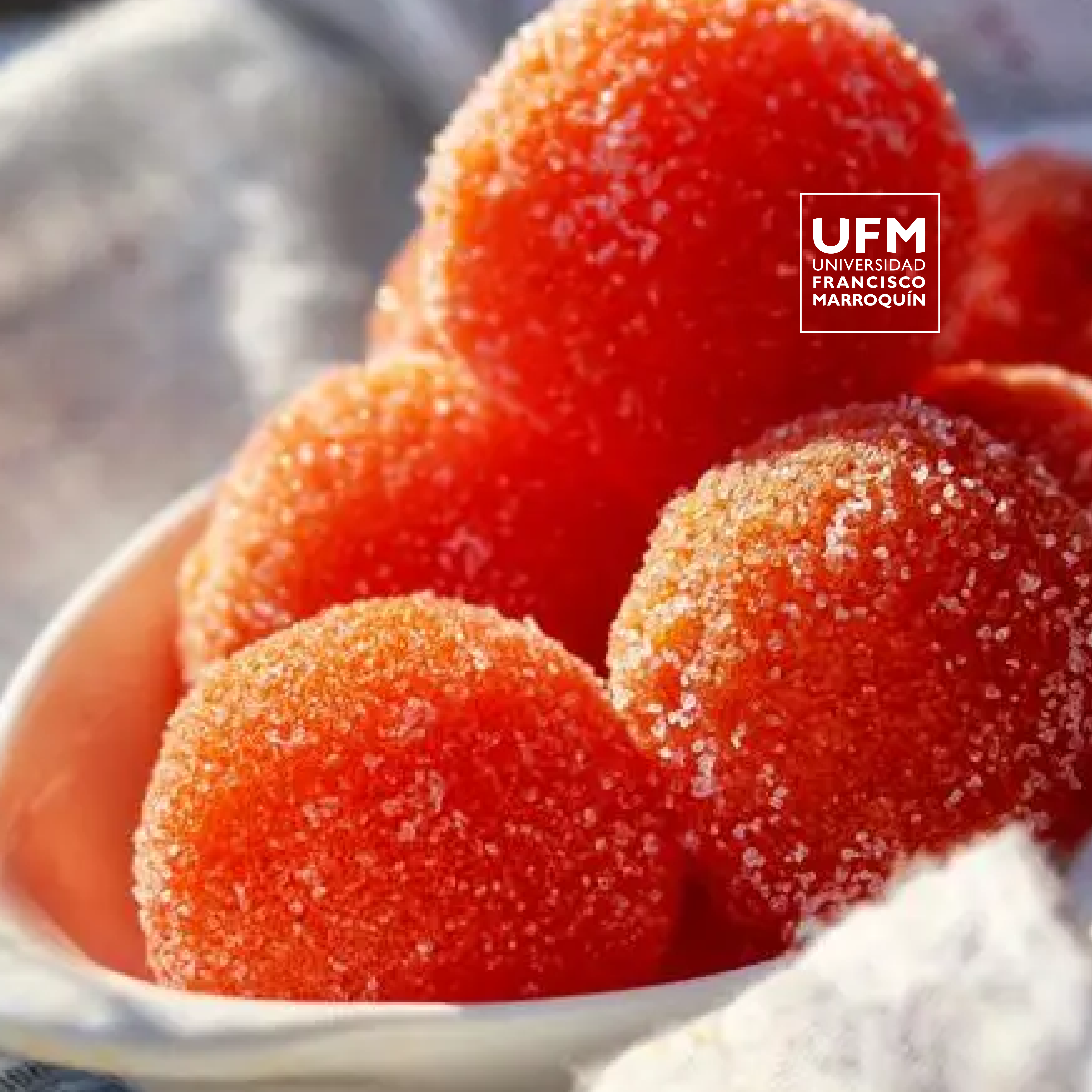 Ciclo de talleres gastronómicos guatemaltecos: recados y dulces típicos ...
